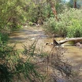 Mount Lofty Loop, Victoria, Australia - 988 Reviews, Map | AllTrails