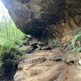 Lane Cove Riverside Walk, New South Wales, Australia - 1,477 Reviews ...