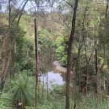 Lane Cove Riverside Walk, New South Wales, Australia - 1,477 Reviews ...