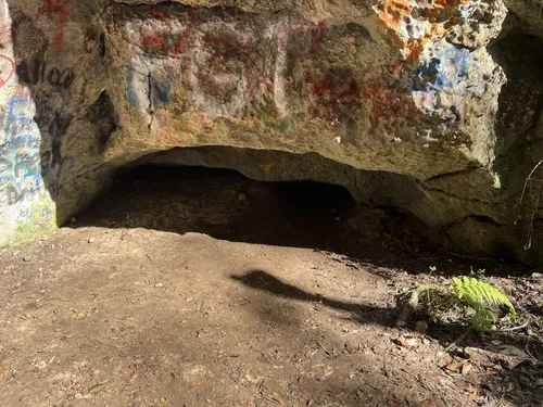 Best Hikes and Trails in Citrus Wildlife Management Area | AllTrails
