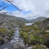 Illawong Walk, New South Wales, Australia - 330 Reviews, Map | AllTrails