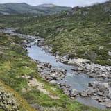 Illawong Walk, New South Wales, Australia - 330 Reviews, Map | AllTrails