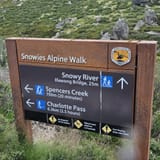 Illawong Walk, New South Wales, Australia - 330 Reviews, Map | AllTrails