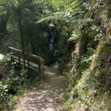 Cossey Massey Loop Track, Auckland, New Zealand - 681 Reviews, Map ...