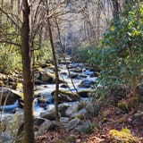 Mouse Creek Falls via Big Creek Trail, Tennessee - 2,538 Reviews, Map ...
