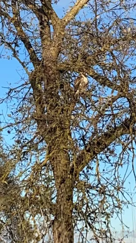 Best Hikes and Trails in Colusa National Wildlife Refuge | AllTrails