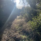 Tenaja Canyon via Tenaja Trail, California - 181 Reviews, Map | AllTrails