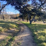 Tenaja Canyon via Tenaja Trail, California - 181 Reviews, Map | AllTrails