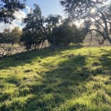 Tenaja Canyon via Tenaja Trail, California - 181 Reviews, Map | AllTrails
