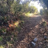 Tenaja Canyon via Tenaja Trail, California - 181 Reviews, Map | AllTrails