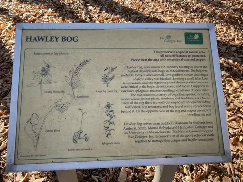 Best Hikes and Trails in Hawley Bog Preserve | AllTrails