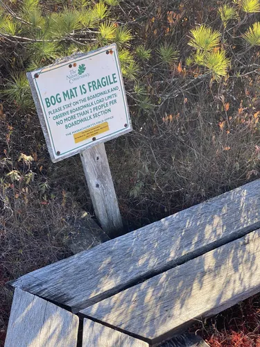 Best Hikes and Trails in Hawley Bog Preserve | AllTrails