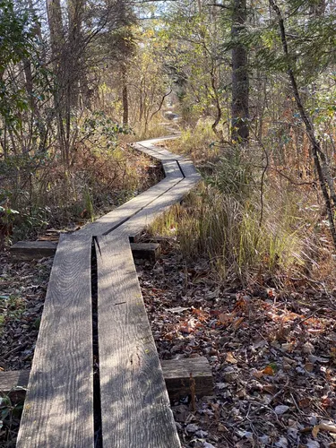 Best Hikes and Trails in Hawley Bog Preserve | AllTrails