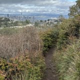 Mount Davidson, California - 971 Reviews, Map | AllTrails