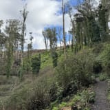 Mount Davidson, California - 971 Reviews, Map | AllTrails
