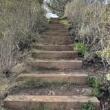Mount Davidson, California - 971 Reviews, Map | AllTrails