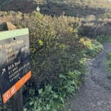 Slacker Hill Trail, California - 409 Reviews, Map | AllTrails