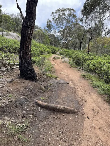 Best Easy Trails in You Yangs Regional Park | AllTrails