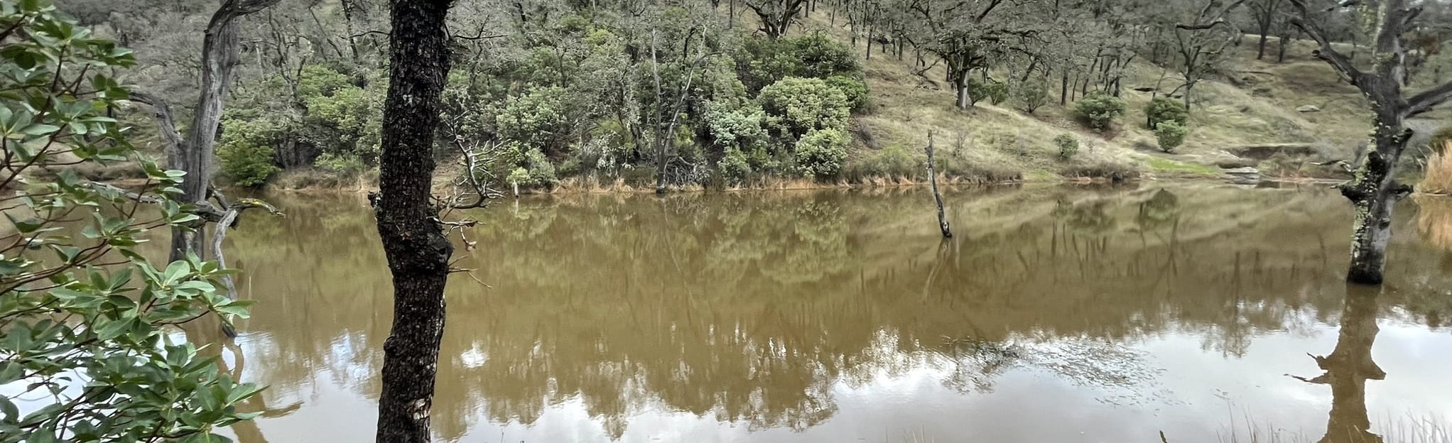 Frog Lake Loop Trail, California - 503 Reviews, Map | AllTrails