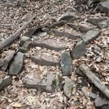 Giuffrida Park Loop, Connecticut - 1,627 Reviews, Map | AllTrails