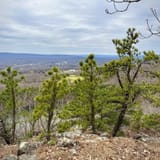 Giuffrida Park Loop, Connecticut - 1,627 Reviews, Map | AllTrails