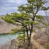 Giuffrida Park Loop, Connecticut - 1,627 Reviews, Map | AllTrails