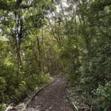 Makiki Valley Loop Trail, Oahu, Hawaii - 5,455 Reviews, Map | AllTrails