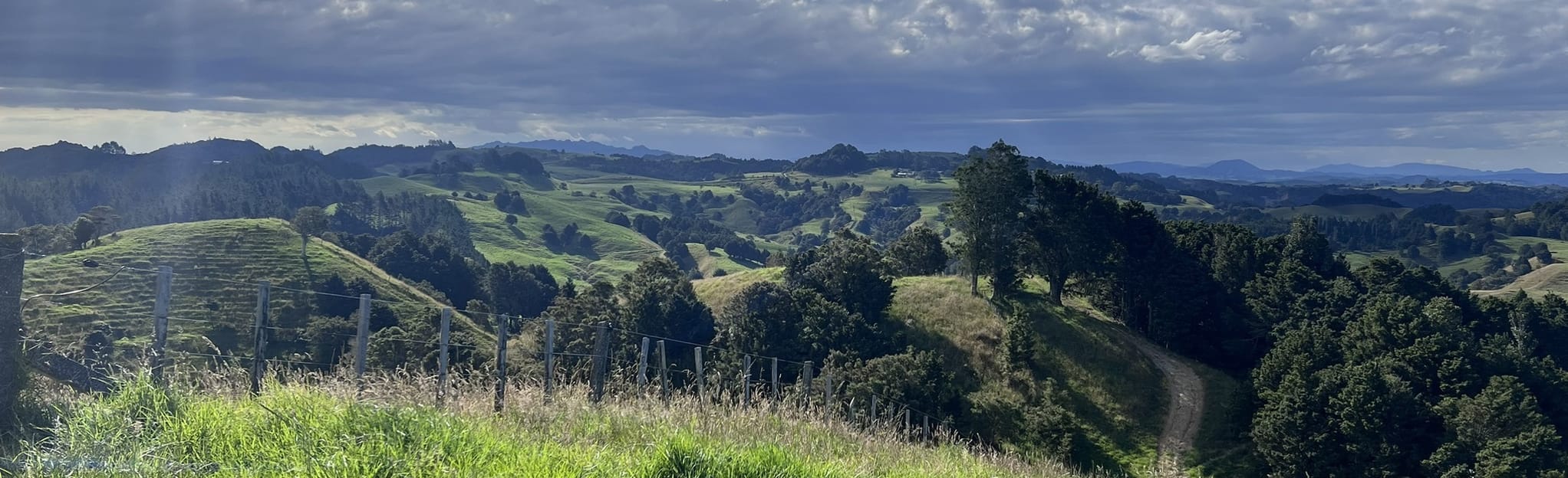 Waipu Caves Track, Northland, New Zealand - 43 Reviews, Map | AllTrails