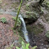 Dawn Falls Trail, California - 1,057 Reviews, Map | AllTrails