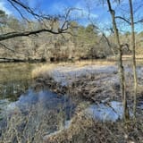 Mashpee River Woodlands North Trail, Massachusetts - 618 Reviews, Map ...