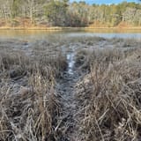 Mashpee River Woodlands North Trail, Massachusetts - 618 Reviews, Map ...