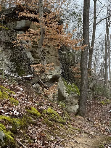 Best 10 Hiking Trails in Wayne National Forest | AllTrails