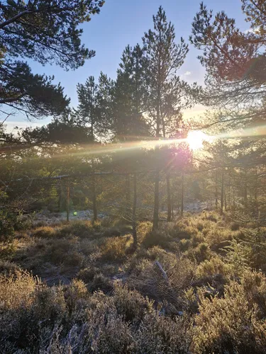 Best Lake Trails in Alness | AllTrails