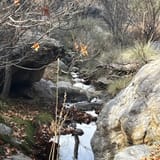Madera Canyon Nature Trail, Arizona - 1,070 Reviews, Map | AllTrails