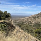 Madera Canyon Nature Trail, Arizona - 1,070 Reviews, Map | AllTrails