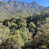 Madera Canyon Nature Trail, Arizona - 1,070 Reviews, Map | AllTrails
