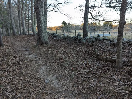 Best Hikes and Trails in Appleton Farms | AllTrails