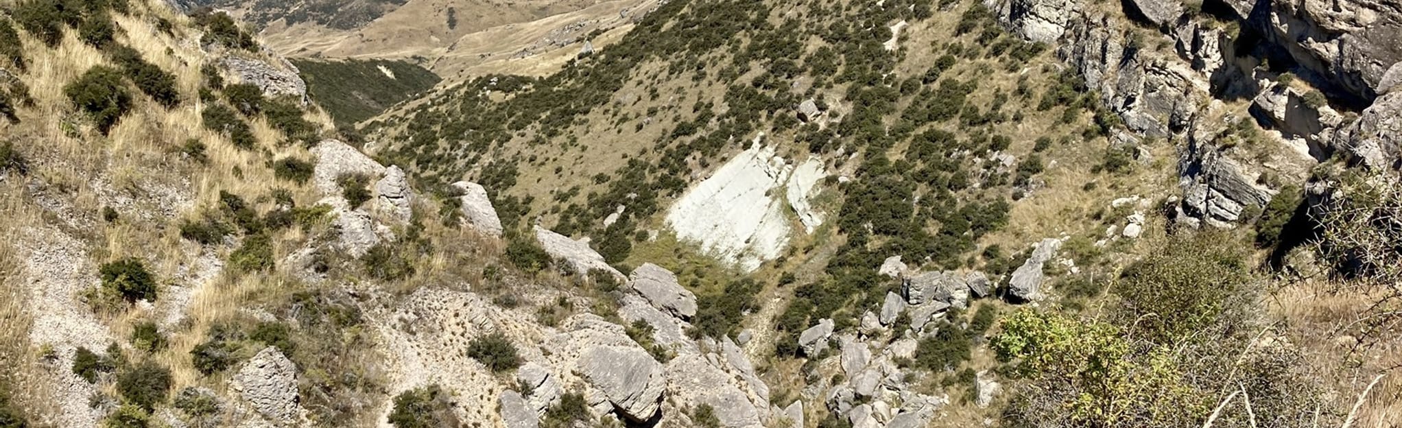 Cave Stream Loop Track, Canterbury, New Zealand - 96 Reviews, Map ...