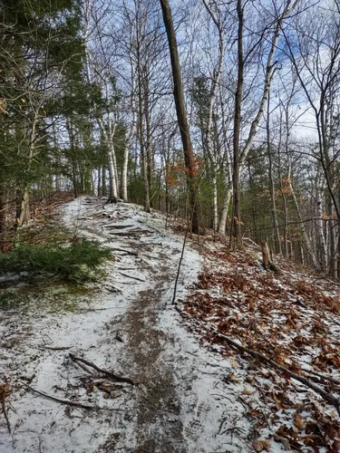 Best Hikes and Trails in Petoskey State Park | AllTrails