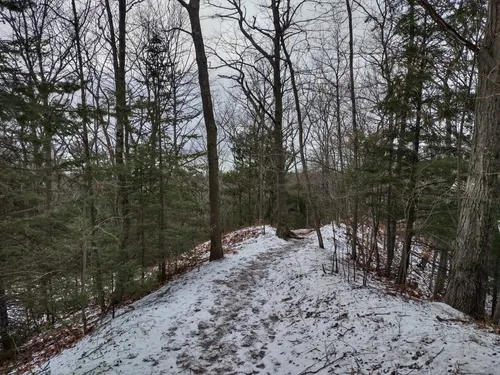 Best Hikes and Trails in Petoskey State Park | AllTrails