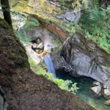 Racehorse Falls Trail, Washington - 433 Reviews, Map | AllTrails