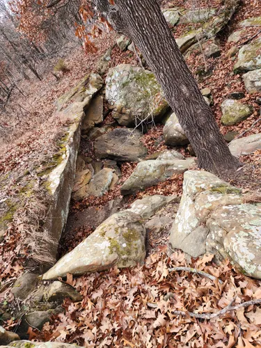 Best Hikes and Trails in Keystone State Park | AllTrails