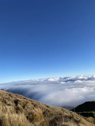 Best Hikes and Trails in Mt. Pulag National Park | AllTrails