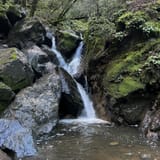 Canyon and Pony Gate Loop, California - 568 Reviews, Map | AllTrails