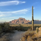 Hawes Ridge Loop, Arizona - 2,543 Reviews, Map | AllTrails