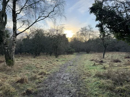 Cathkin Braes Country Park: de beste routes om te wandelen | AllTrails