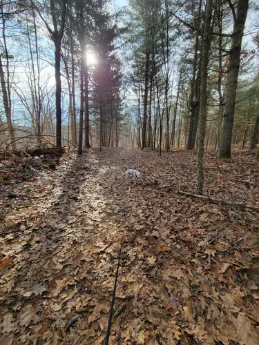 Best Hikes and Trails in Nathan B. and Anne Perry Talbot Wildlife Area ...