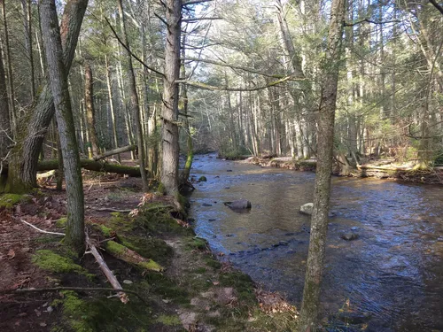 Best Hikes and Trails in Nathan B. and Anne Perry Talbot Wildlife Area ...