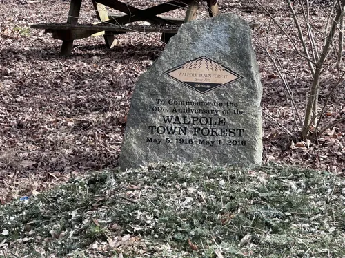 Best Hikes and Trails in Walpole Town Forest | AllTrails