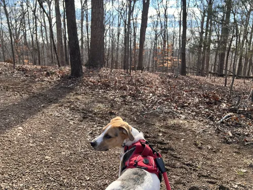 Best Hikes and Trails in Duke Forest | AllTrails